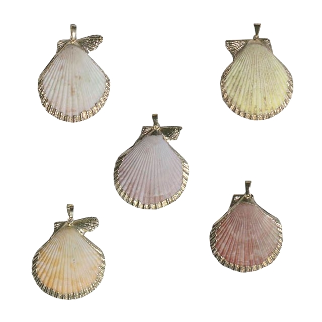 Shell Money to Shell Jewelry – Pendant and Ring